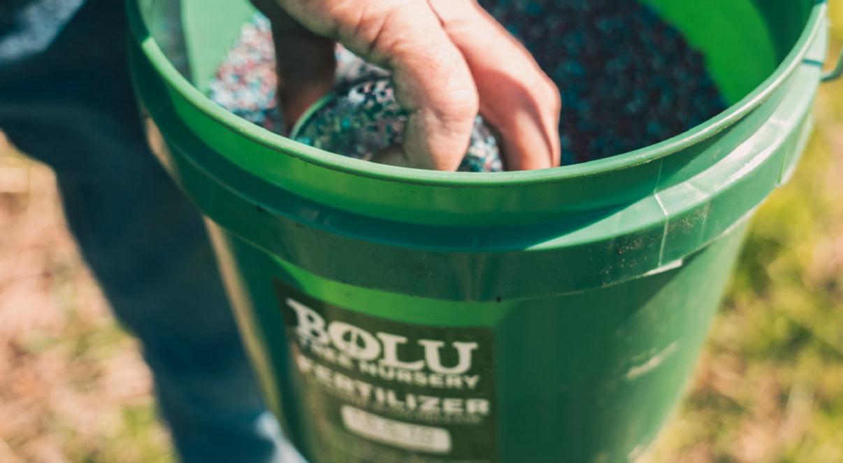 Tree Protection – Bolu Tree Nursery