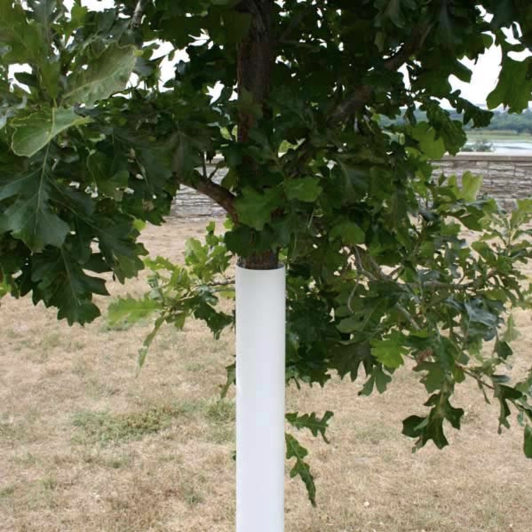 Plantra 36" Solid Wall Tree Bark Guard (Pack of 10) – Bolu Tree Nursery