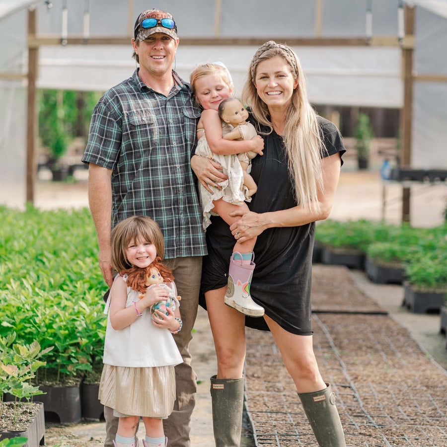 About Us – Bolu Tree Nursery